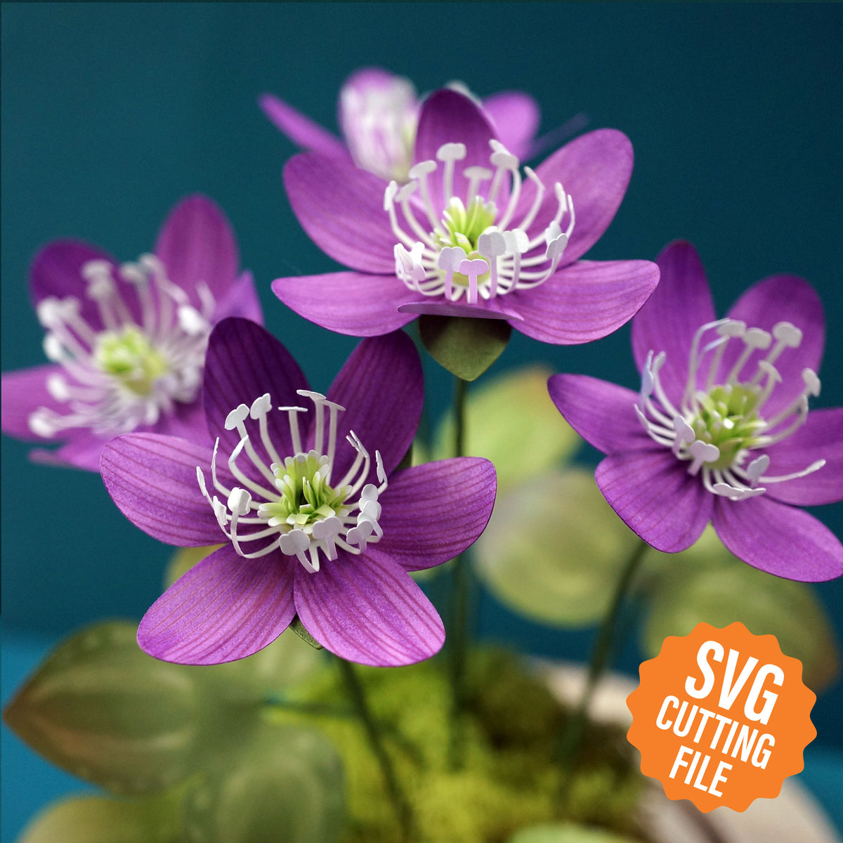 Paper Flowers, Woodland Flower SVG Template and Tutorial for Cricut ...