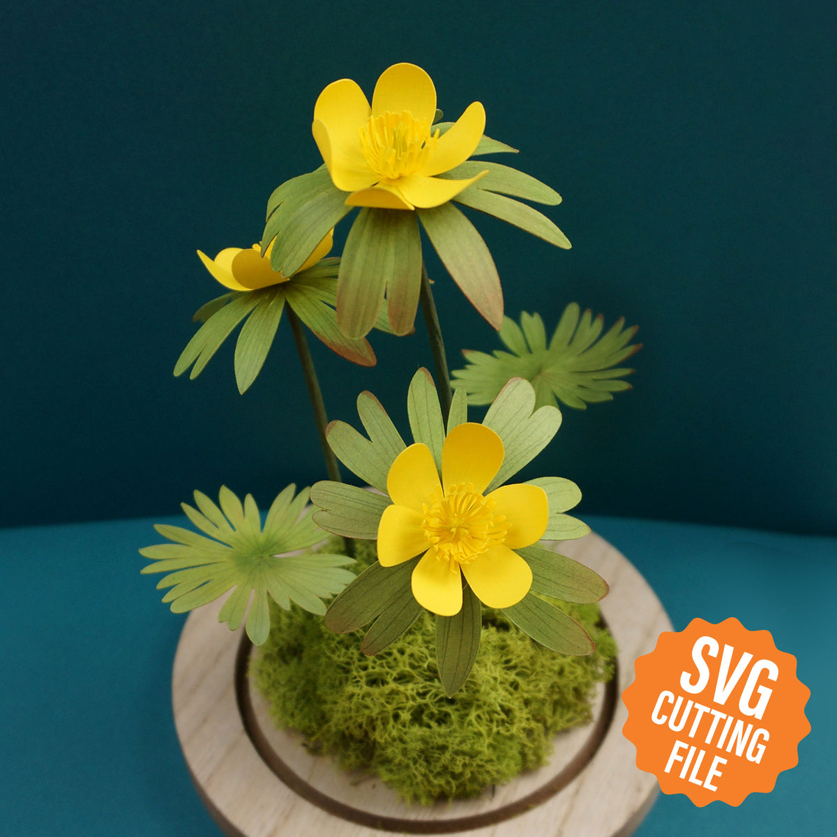 Paper Flowers, Aconite SVG Template and Tutorial for Cricut and ...